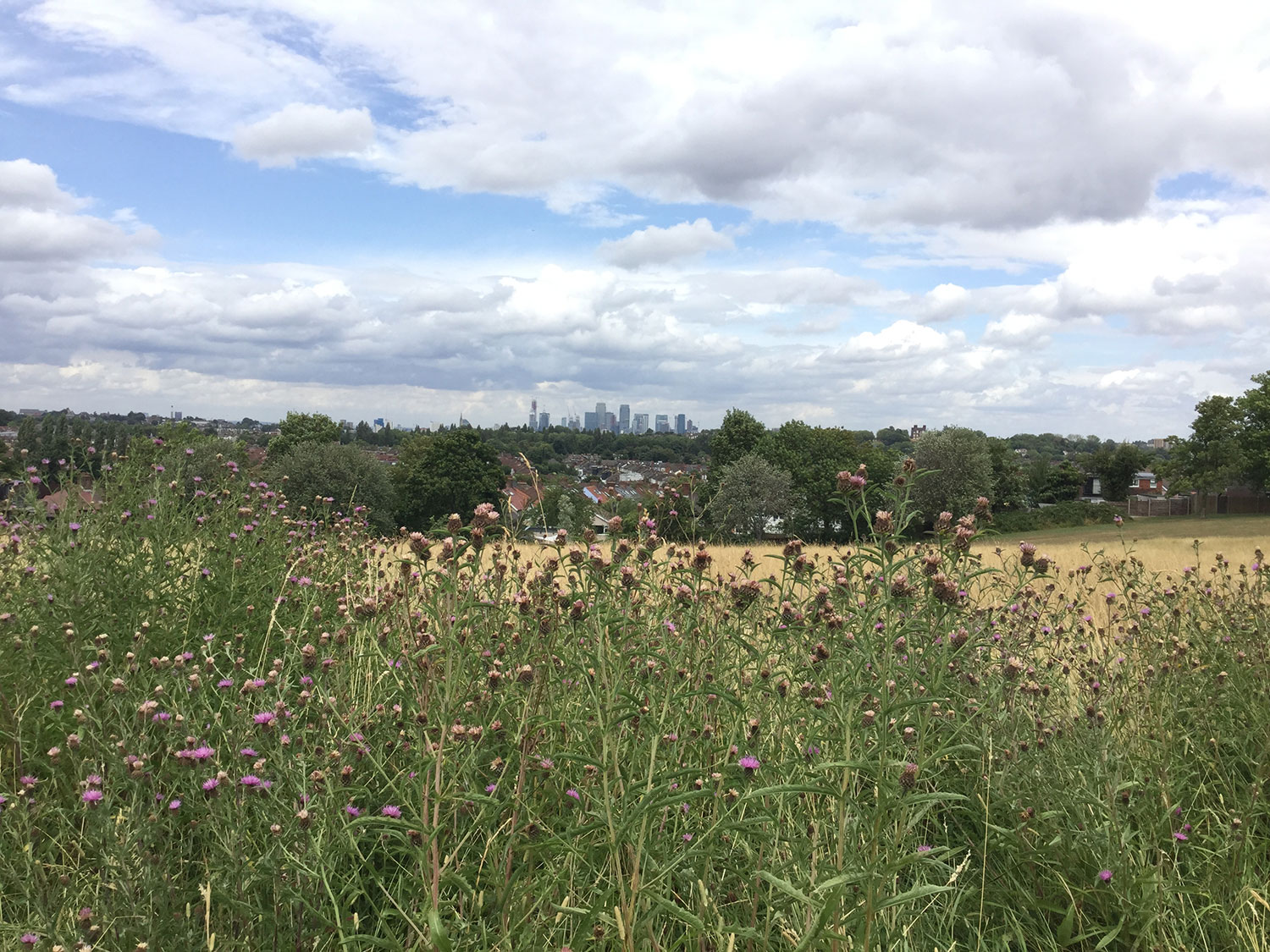 Lewisham Open Spaces Assessment - Arkwood