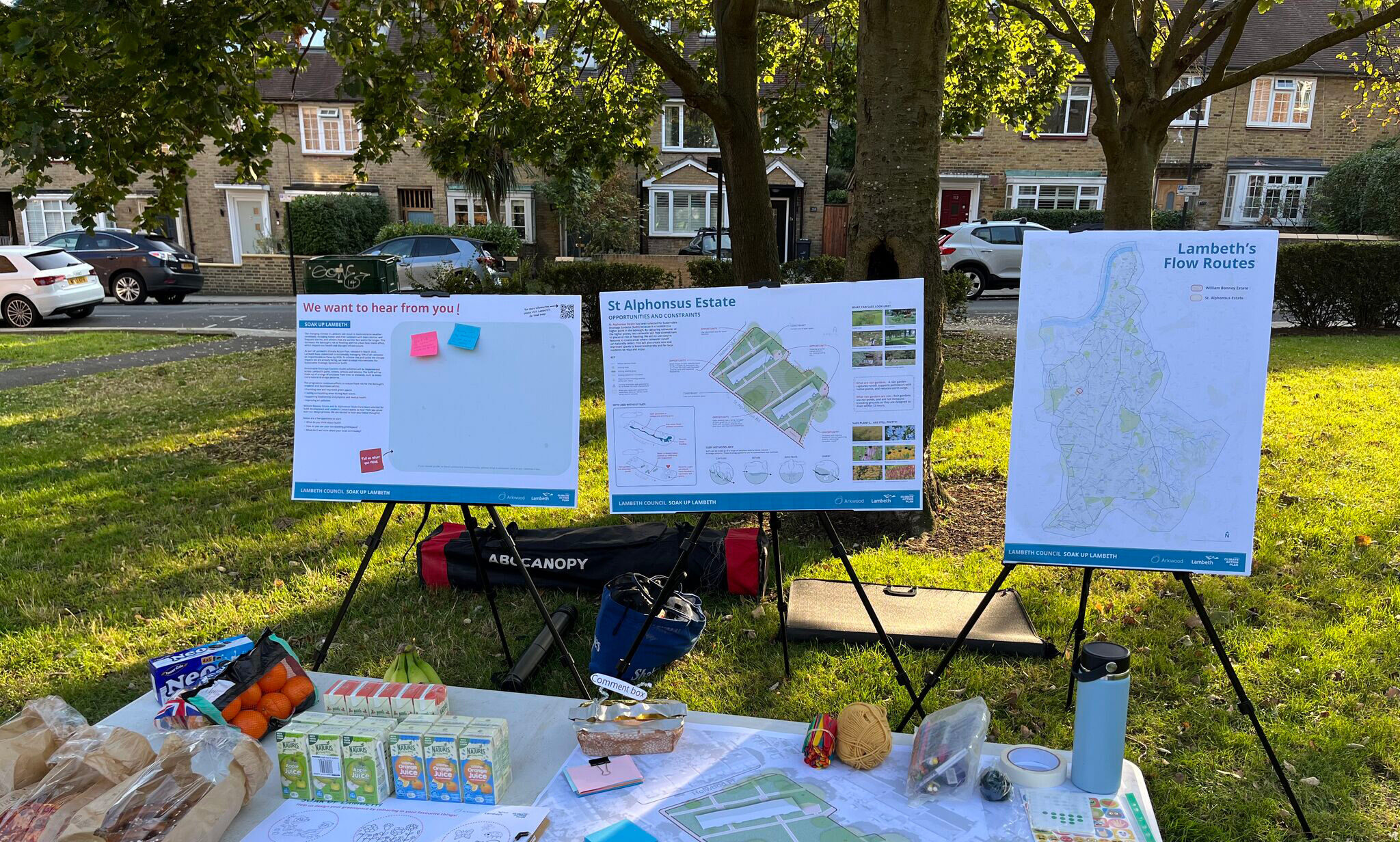 Lambeth Estates SuDS Consultation: Soak Up Lambeth - Arkwood